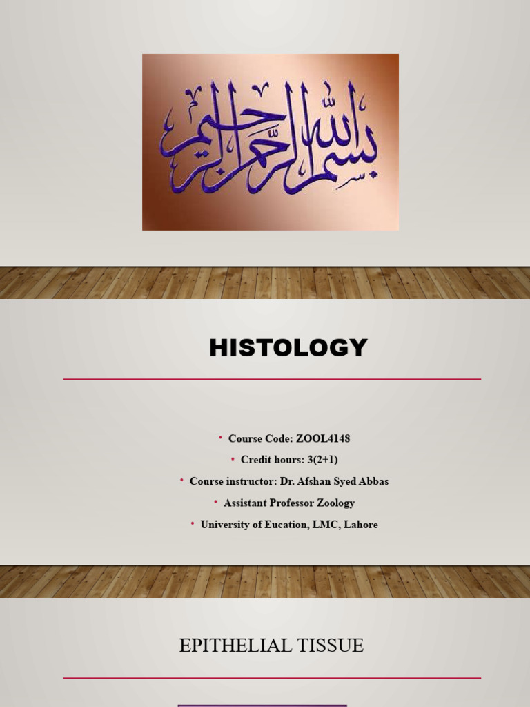 Epithelial Tissue Histology Overview | PDF | Epithelium | Cell Membrane