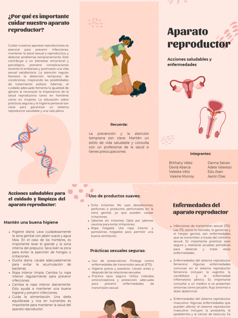 Aparato Reproductor Triptico | Descargar gratis PDF | Infección transmitida sexualmente | Higiene