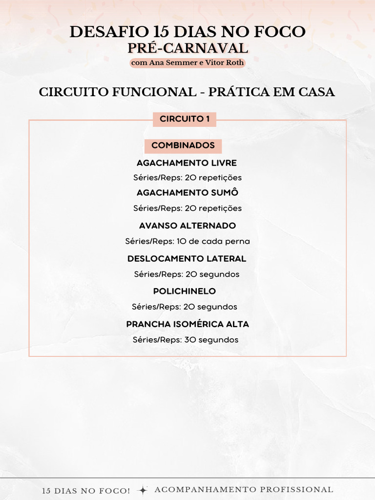 Circuito Funcional | PDF
