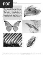 Astm D635 18 | PDF | Combustion | Gases