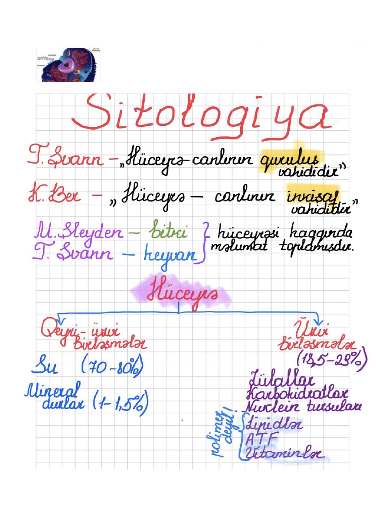 Material - Sitologiya | PDF