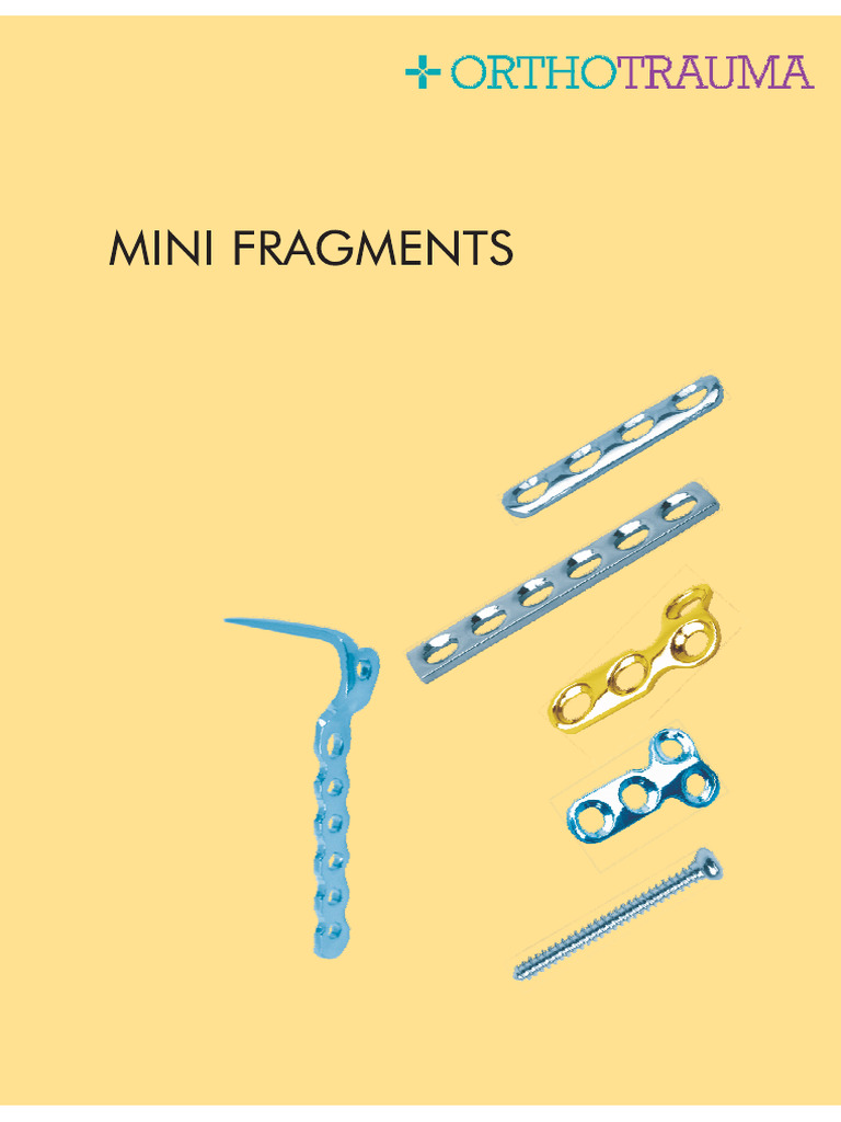 Mini Fragmentos | PDF