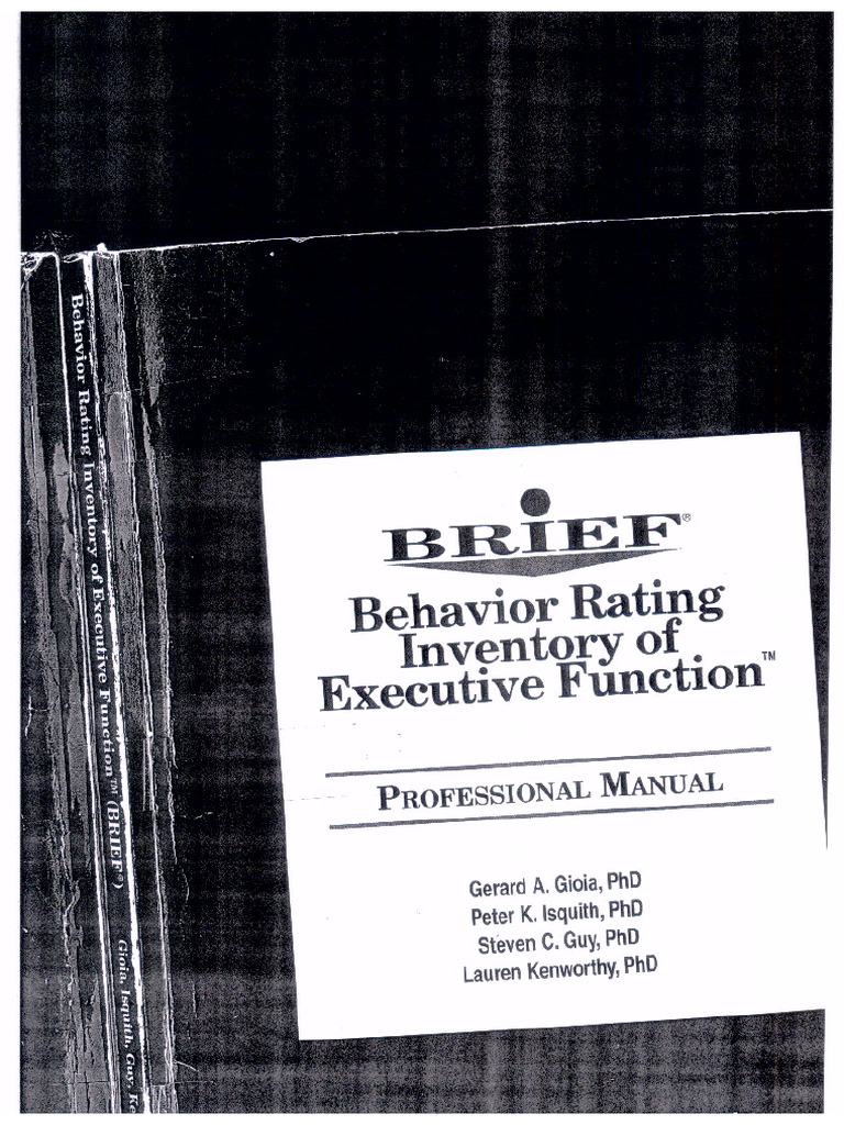 Barems Brief Definitius | PDF