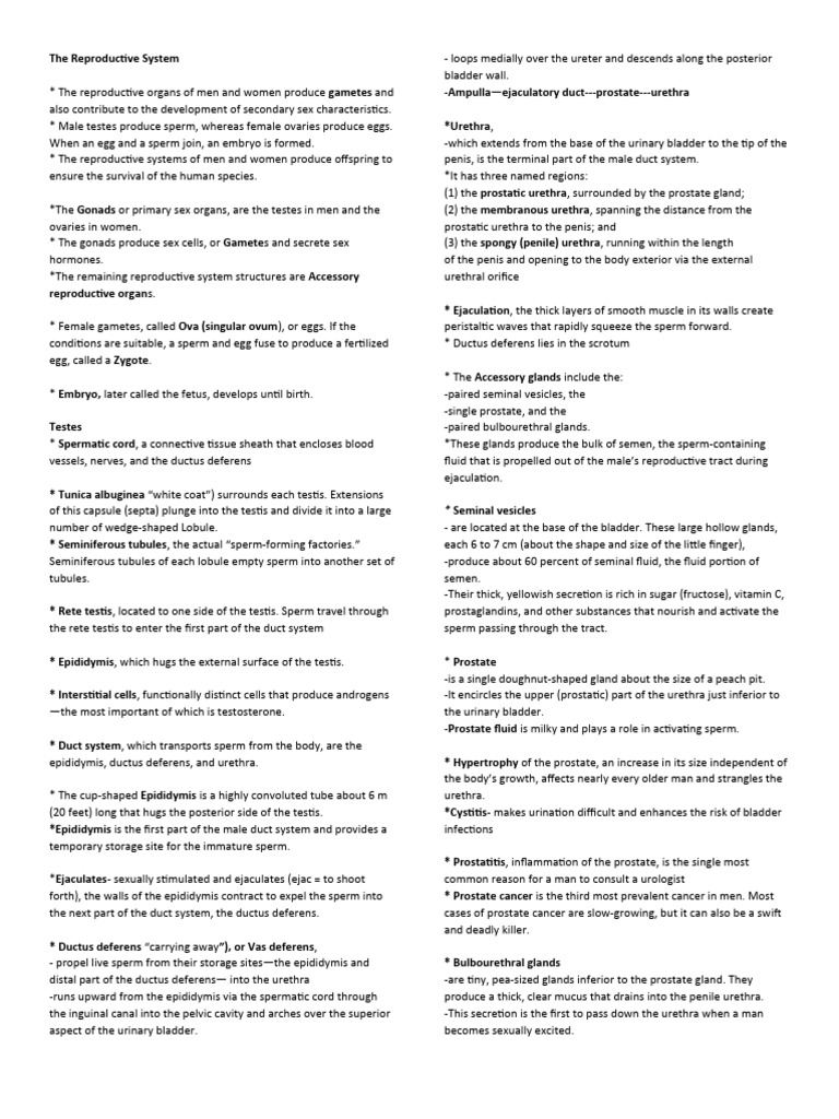 The Reproductive System | PDF