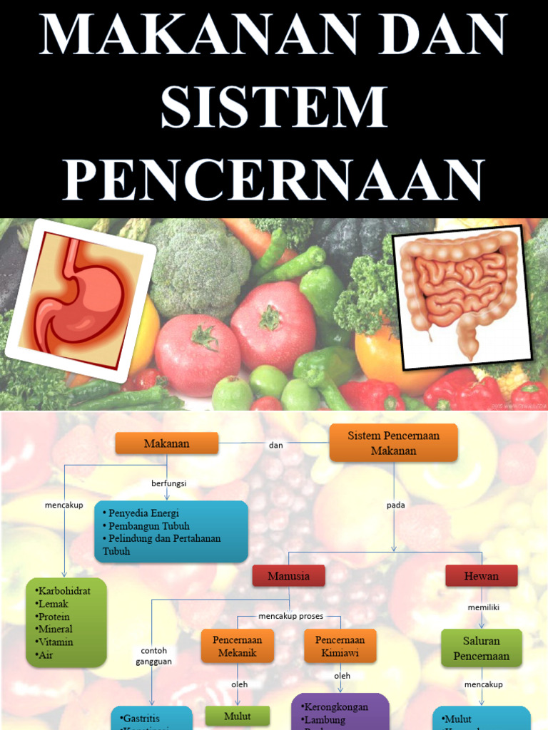 Bab 6 Sistem Pencernaan | PDF