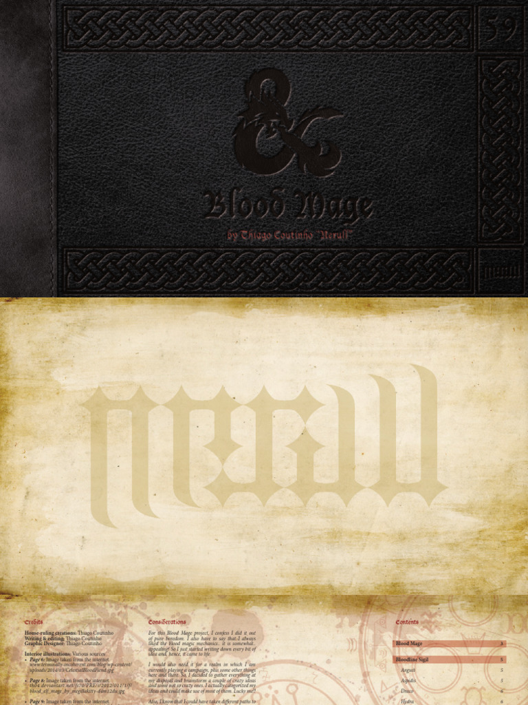 HR HB Blood Mage by Nerull Screen | PDF | Magician (Fantasy)