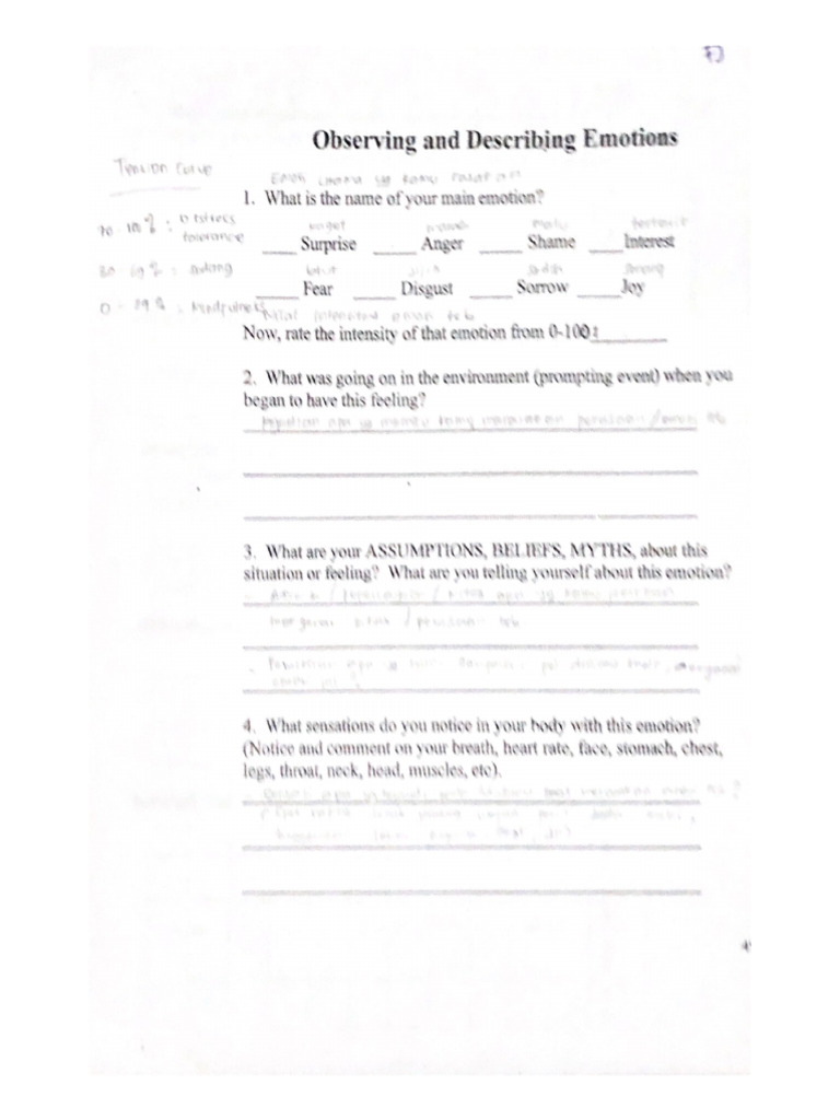 Workshop DBT (Contoh Worksheet) | PDF