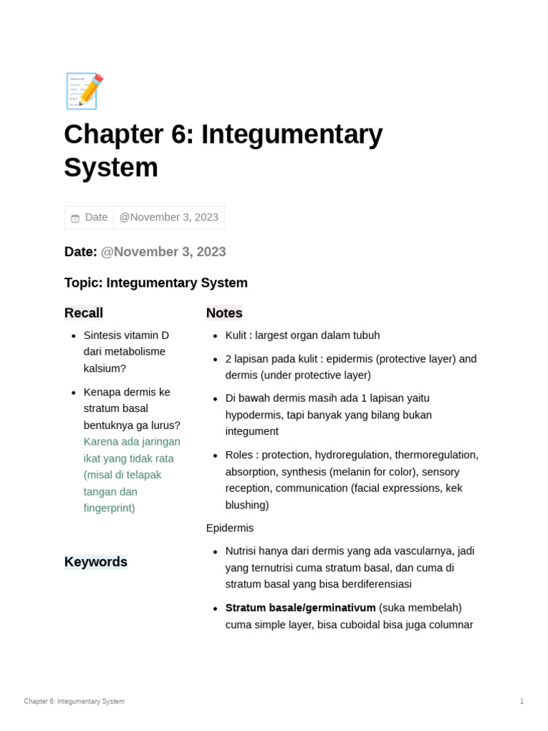 Chapter 6 Integumentary System | PDF