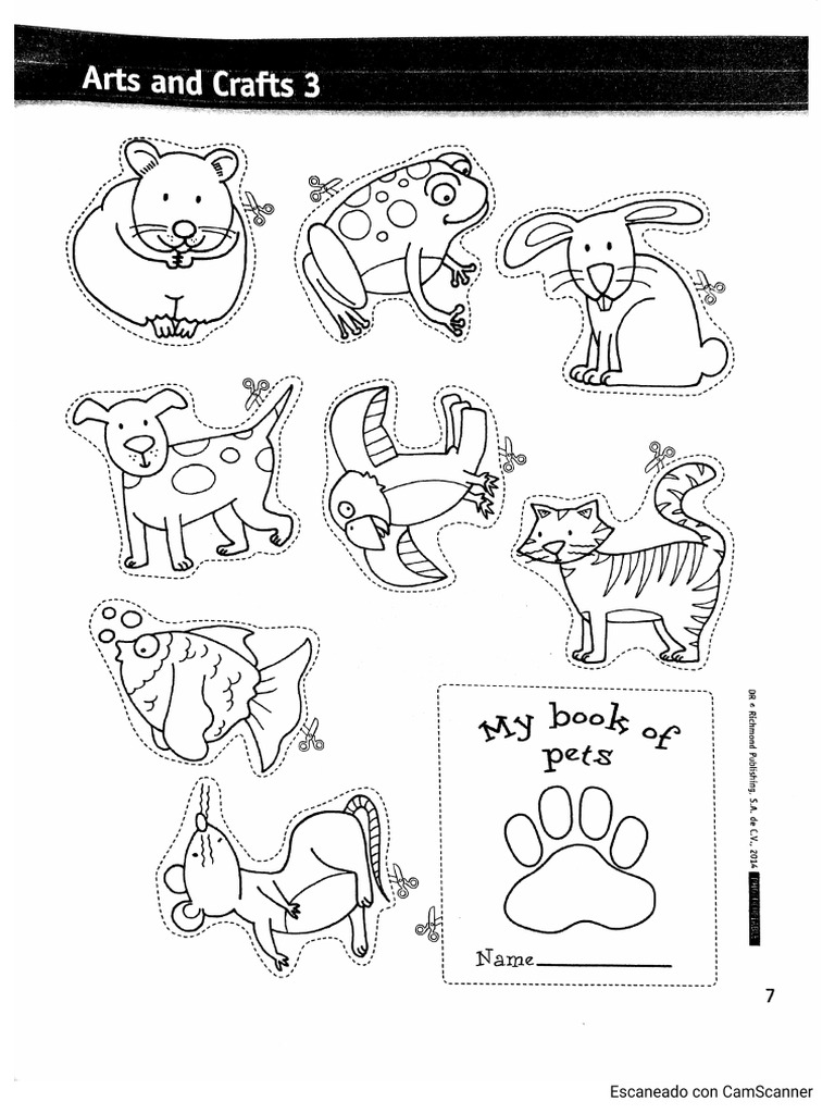 My Book of Pets | PDF