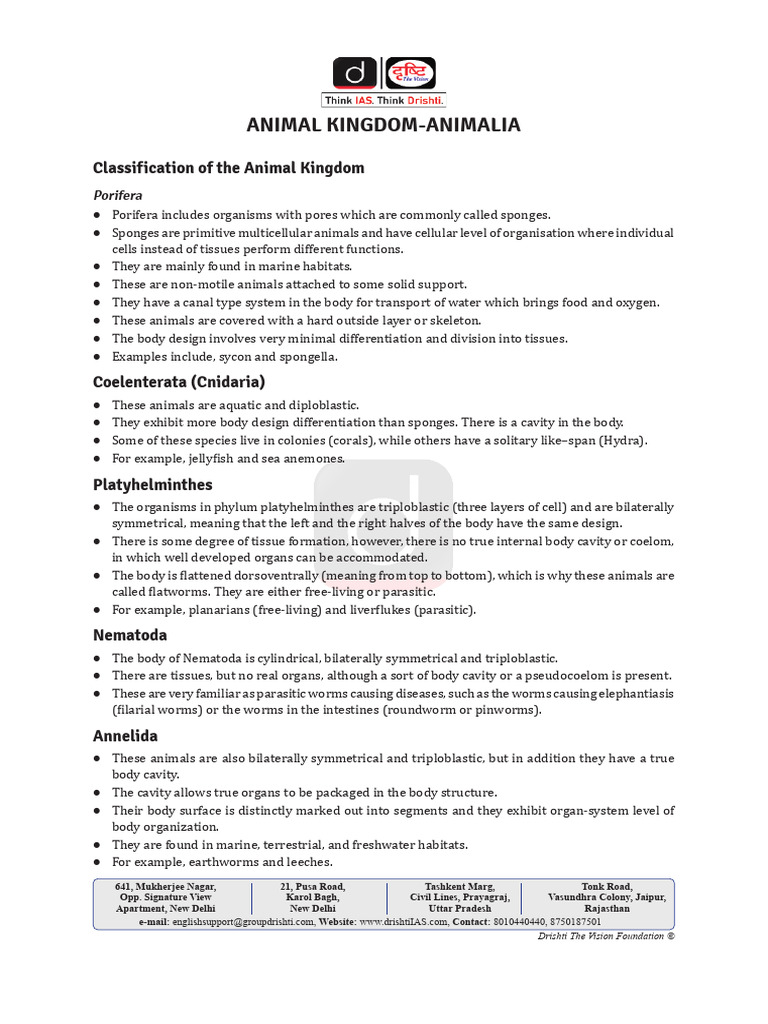 Animal Kingdom-Animalia | PDF | Amphibian | Sponge