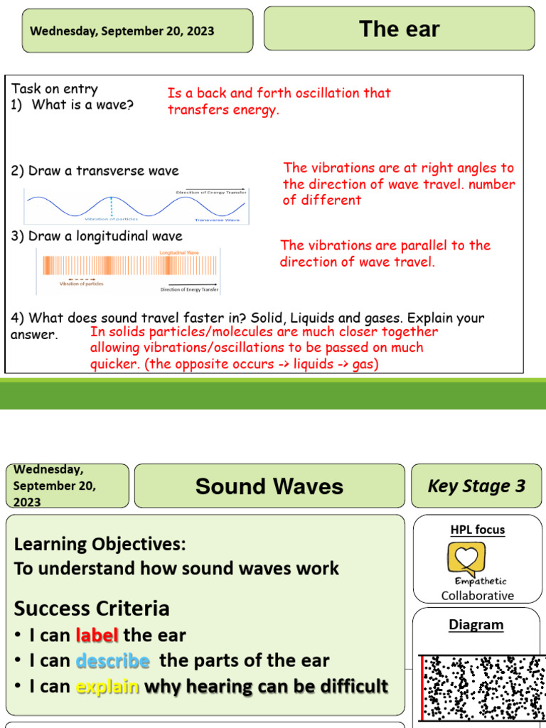 3 - Sound Waves and The Ear | PDF | Sound | Ear