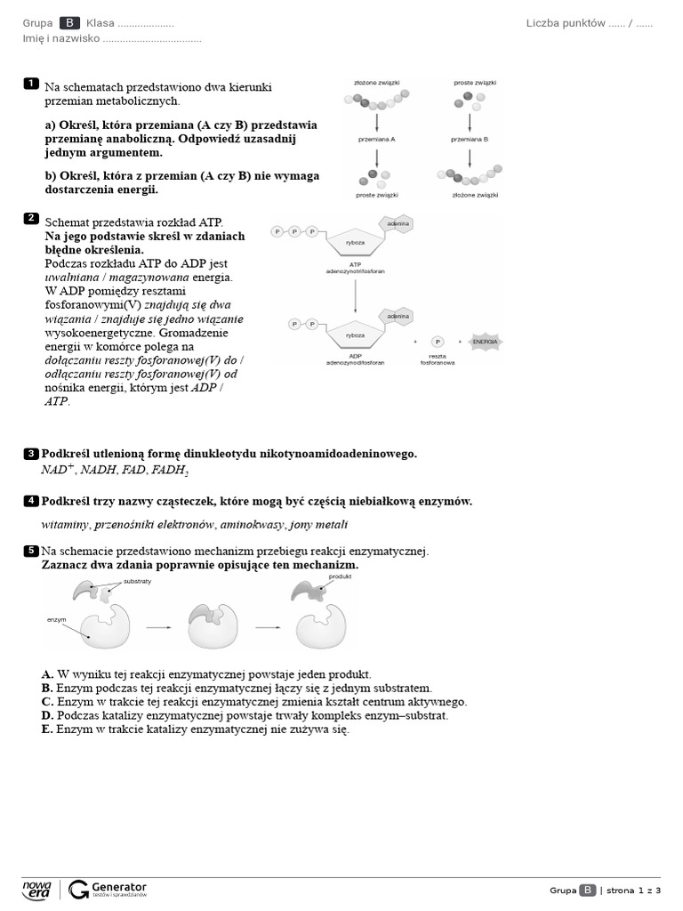 Wiktor Nowak - Metabolizm 1H | PDF