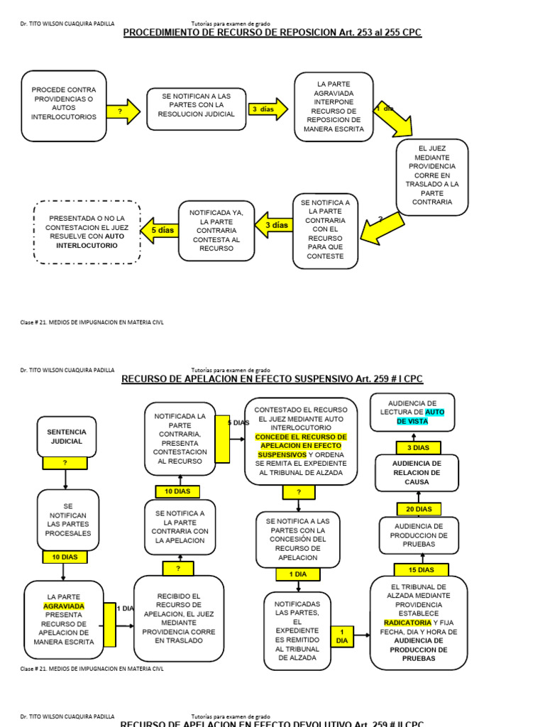 Clase # 21 Esquema Recursos 1 | PDF | Apelación | Procedimiento legal