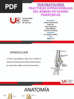Clasificacion de Gartland 2 | PDF | Sistema musculoesquelético