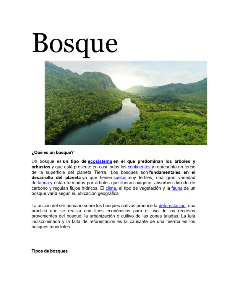 Tipos y Beneficios de los Bosques | PDF | Los bosques | Deforestación