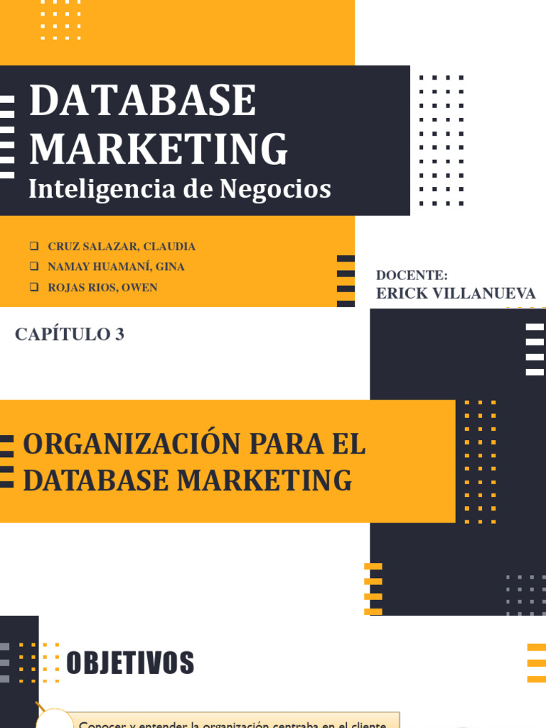 DATABASE MARKETING CAP 3 y 4 | PDF | Marketing | Privacidad