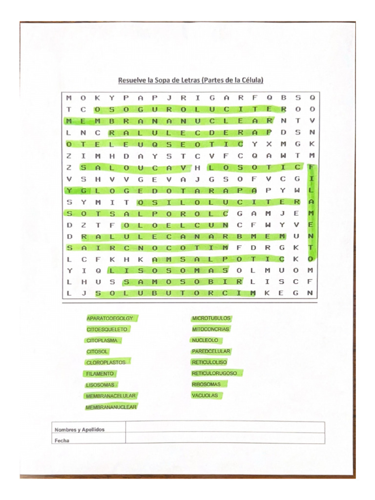 Resuelve La Sopa de Letras (Partes de La Célula) | PDF