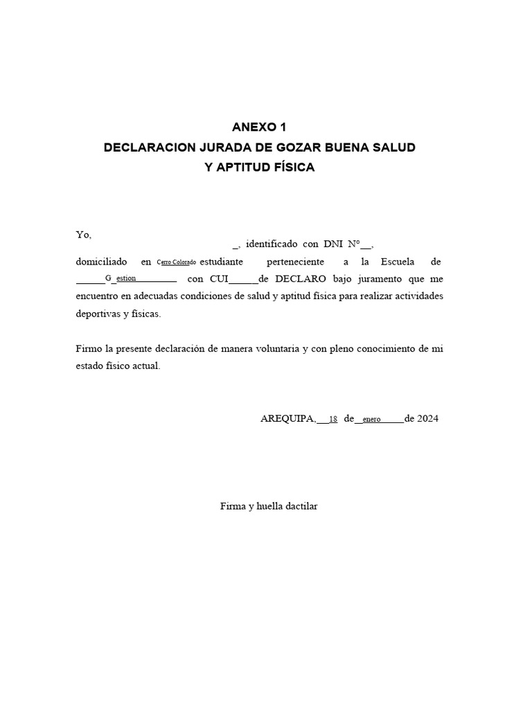 Anexo 1 - Declaracion Jurada | PDF