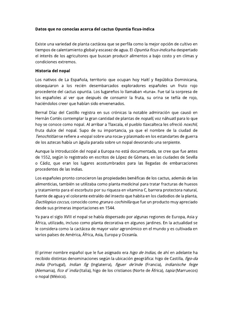 Datos Que No Conocias Acerca Del Cactus | PDF Datos Que No Conocias Acerca Del Cactus | PDF