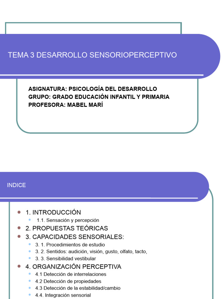 Tema 3 Desarrollo Sensorioperceptivo2 | PDF | Percepción | Percepción visual