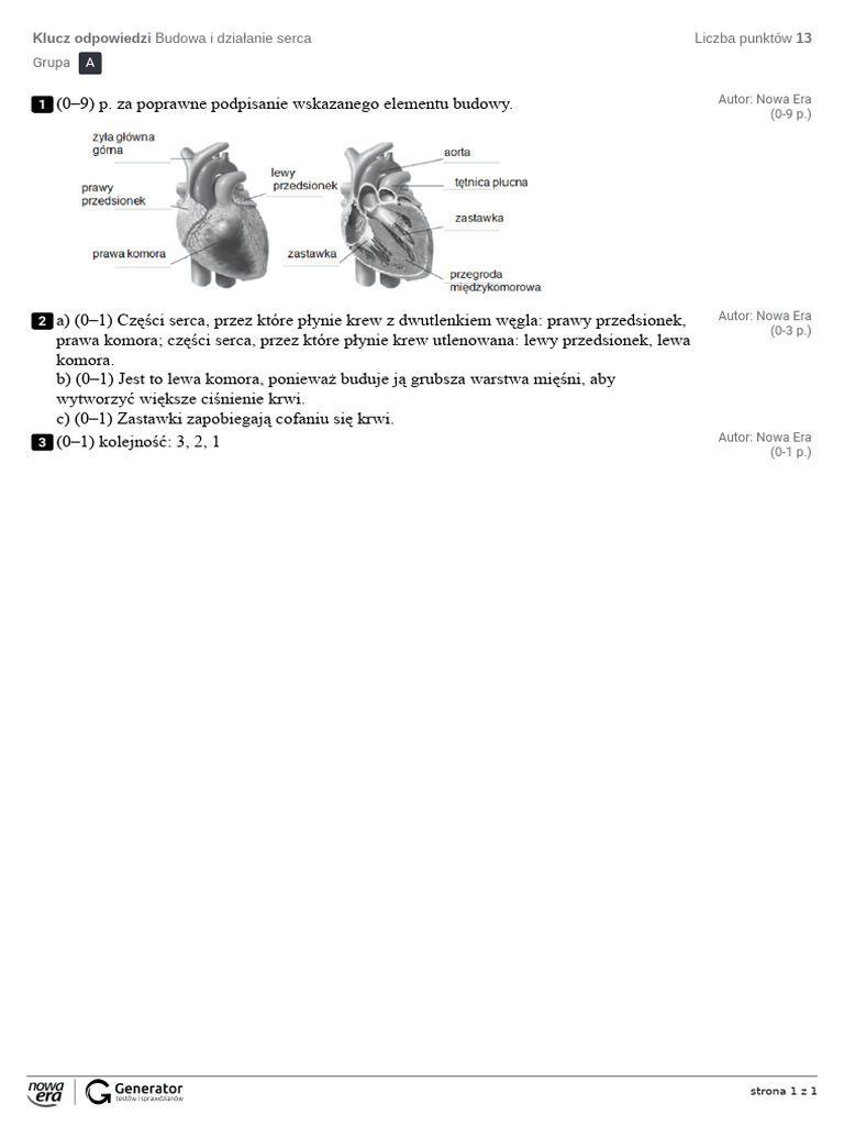 Budowa I Działanie Serca - Klucz Dla Nauczyciela | PDF