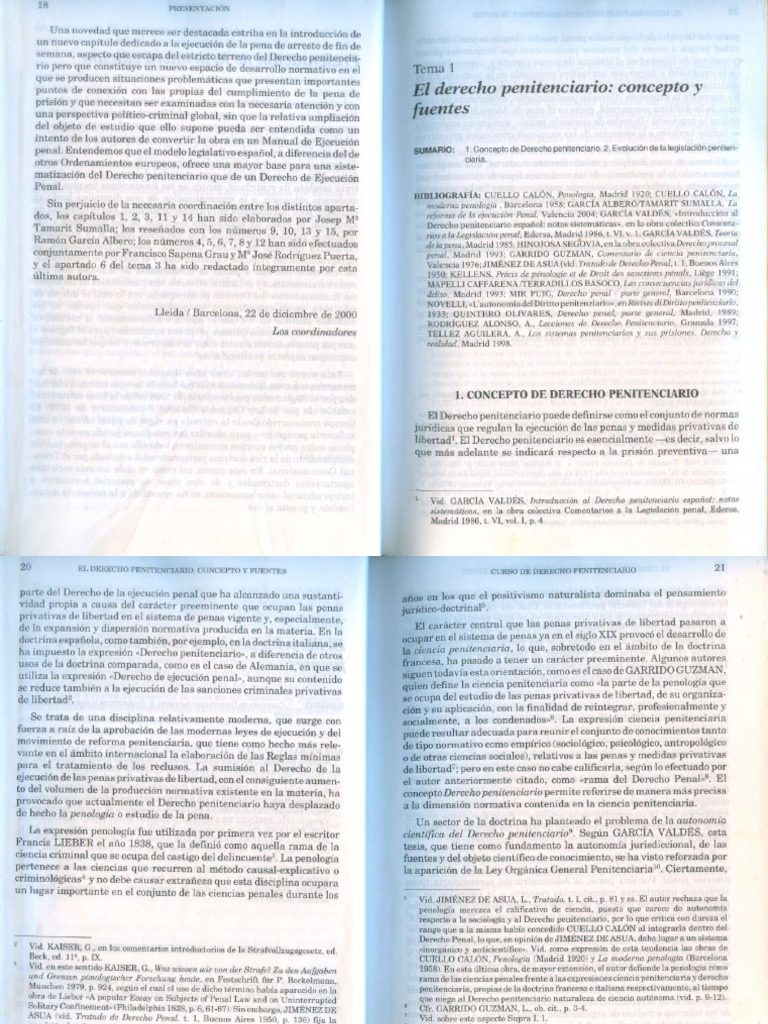 11 - Curso Derecho Penitenciario Compressed | PDF
