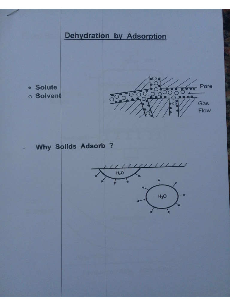 Dehydration 2 | PDF
