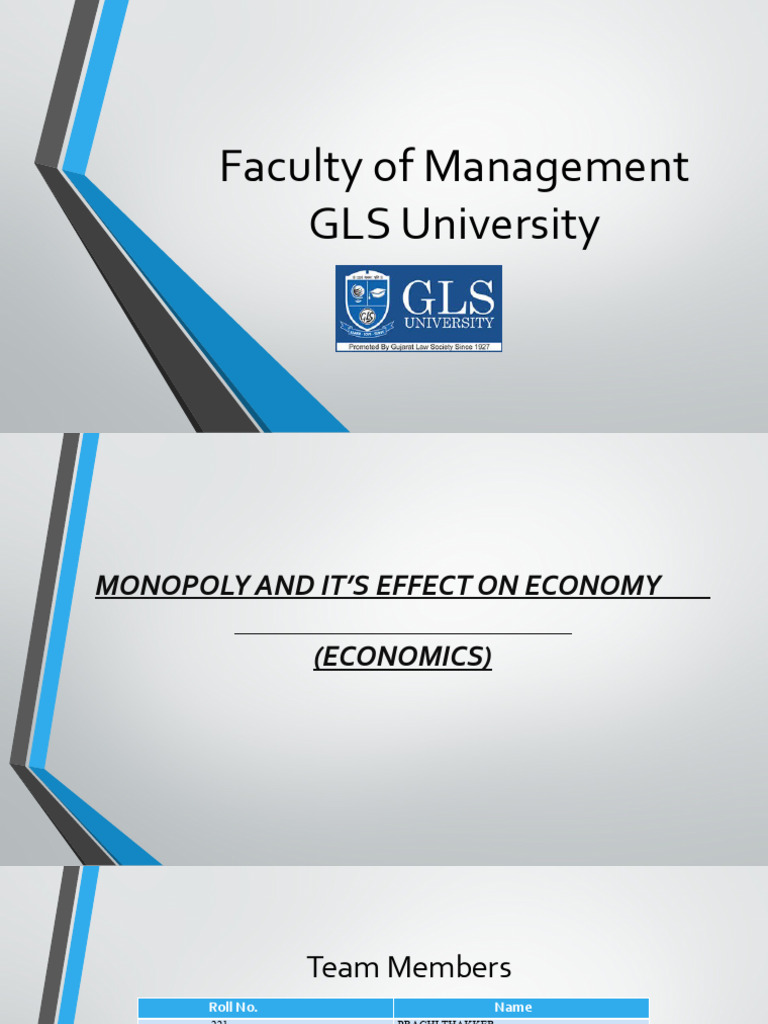 Economics Assignment (Practical) | PDF | Monopoly | Profit (Economics)