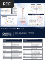 Zombie Menu Brain Project PDF | PDF | Central Nervous System | Nervous ...
