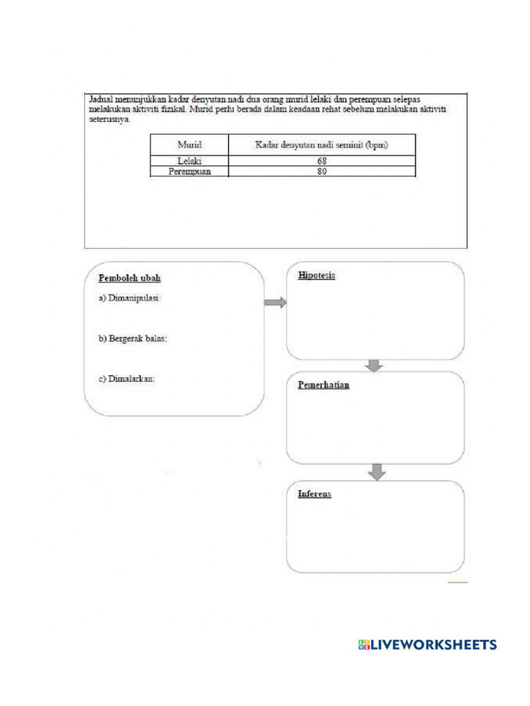 Document ADSAD | PDF