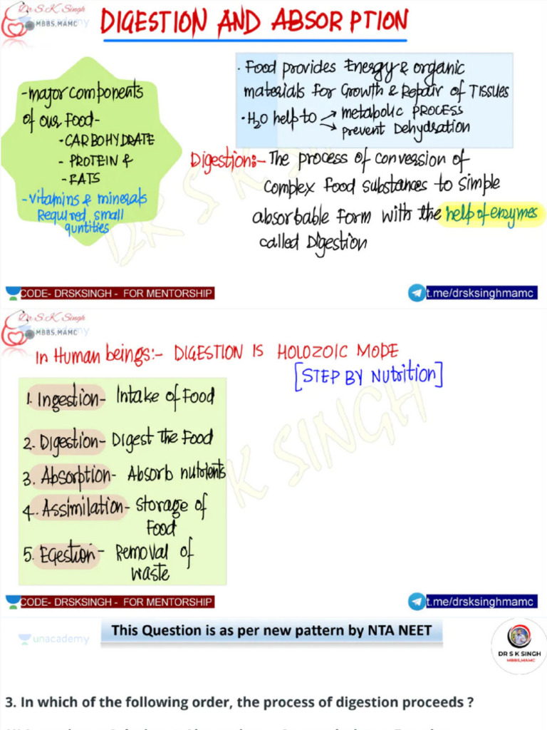 Digestion Digestion of Food Dig No Anno 1684219473000 | PDF