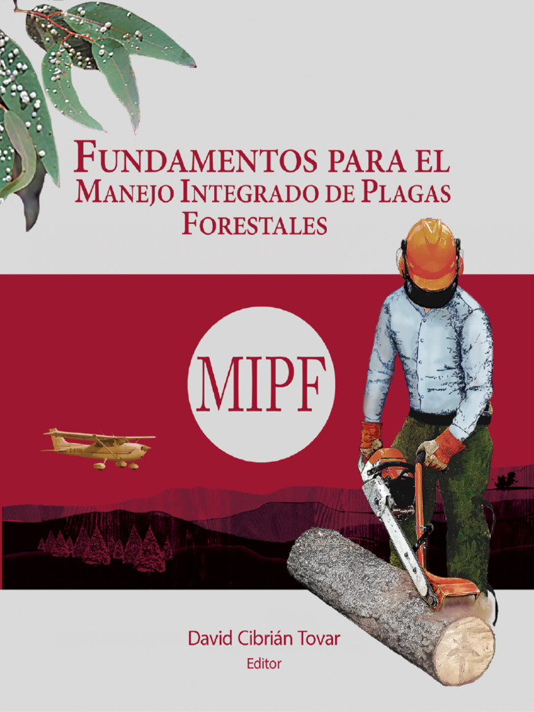 Libro Final MIPF-Digital | PDF