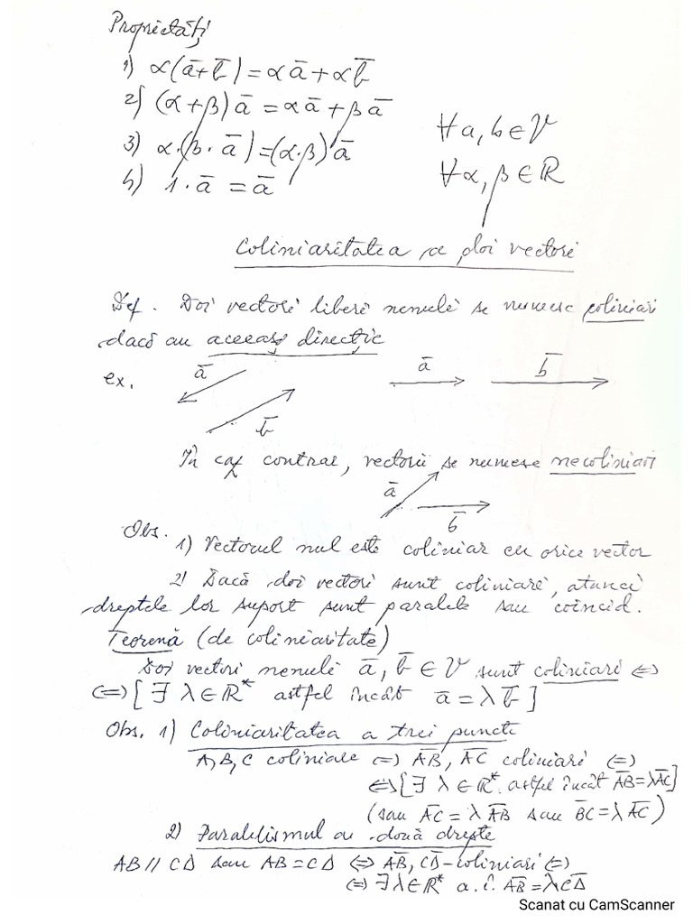 Coliniaritatea A Doi Vectori - Descompunerea Unui Vector | PDF