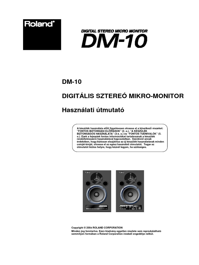 DM 10 | PDF