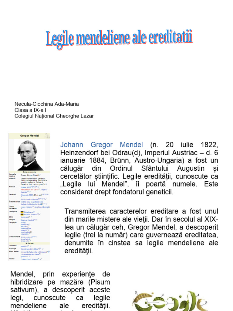 Prezentare OpenDocument Nou | PDF