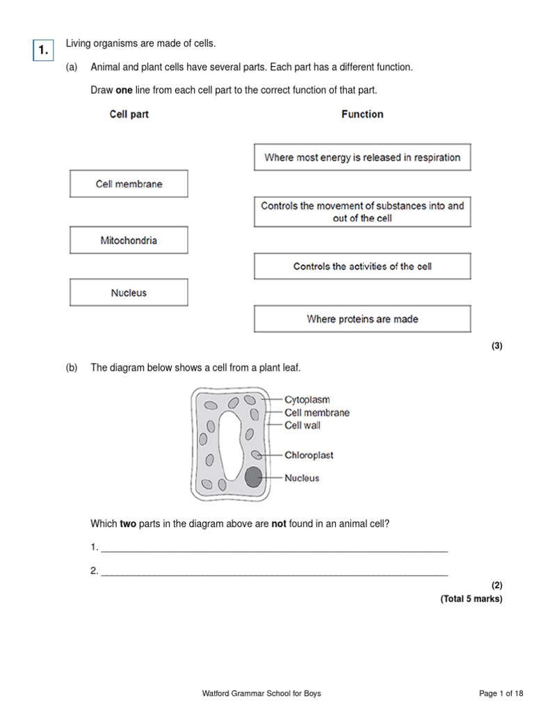 Draft Y9 Autumn Tracker | Download Free PDF | Chloroplast | Cell (Biology)