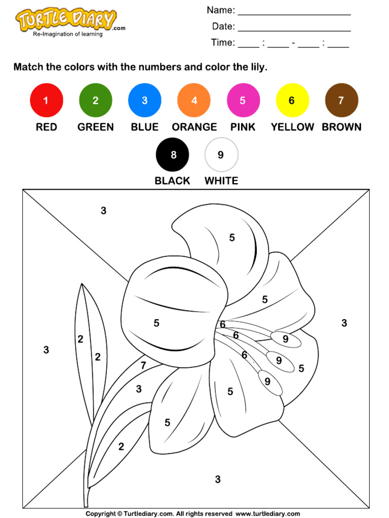 Color by Matching With Numbers | PDF
