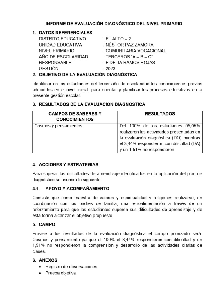 Informe de Evaluación Diagnóstico Del Nivel Primario | PDF | Evaluación | Aprendizaje