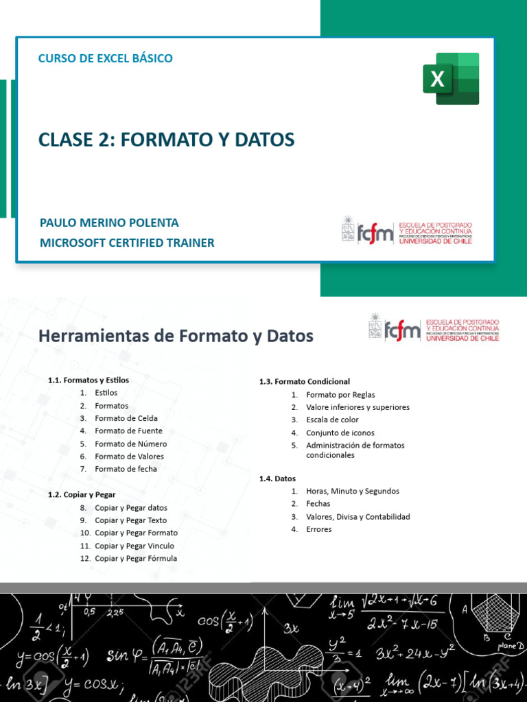Formatos y Datos en Excel Básico | PDF | Microsoft Excel | Informática