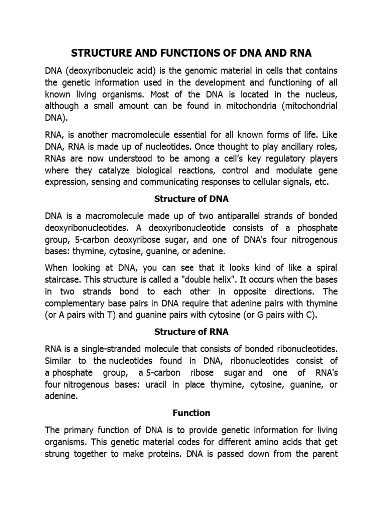 structure and functions of DNA and RNA | PDF | Dna | Rna