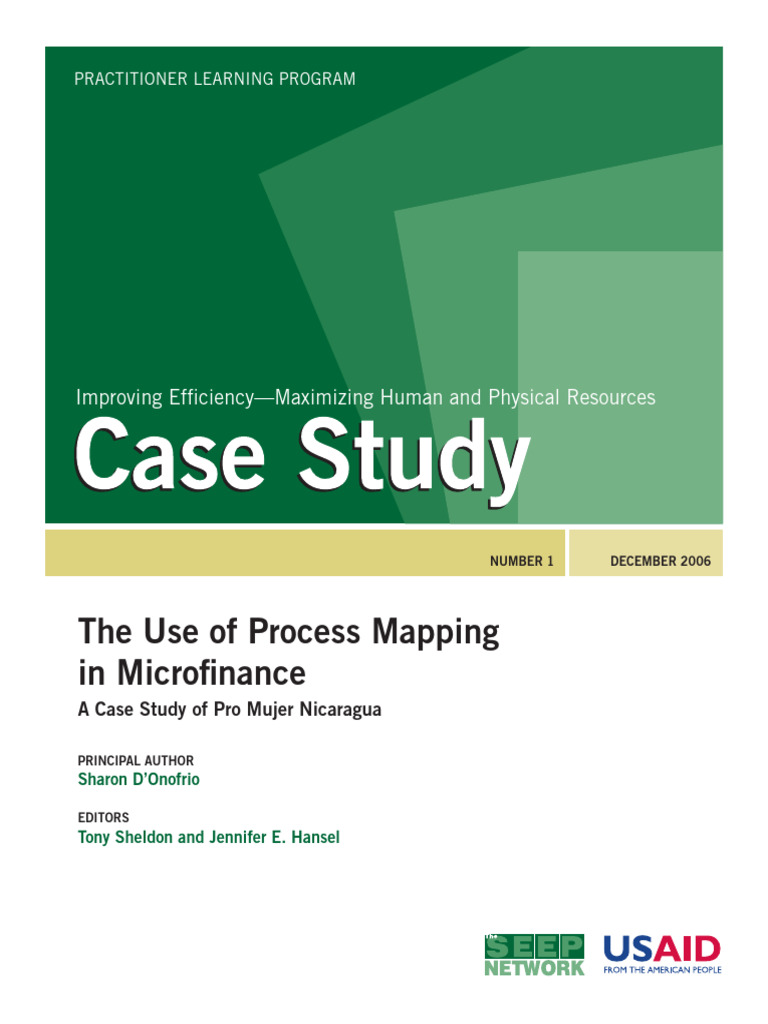 319 5731 File ProcessMapping ProMujerNicaragua | PDF | Career & Growth ...