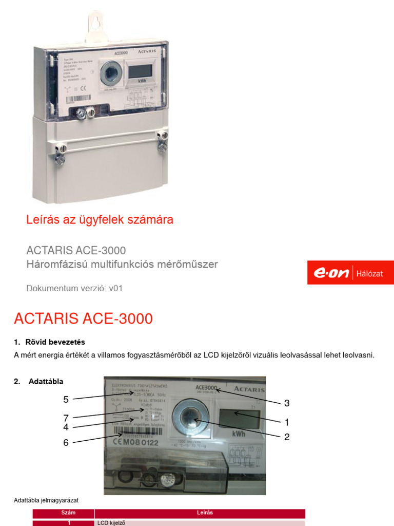 Actaris ACE3000 Fogyasztasmero v01 | PDF