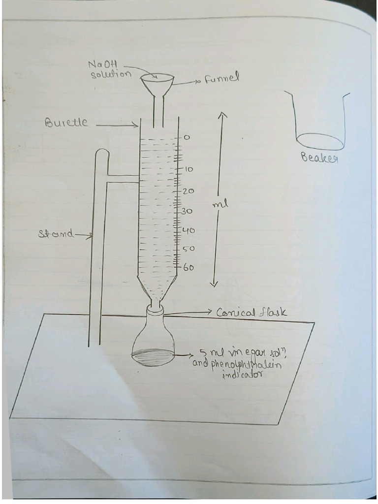 Chemistry Practical - Titration Mohr Salt | PDF