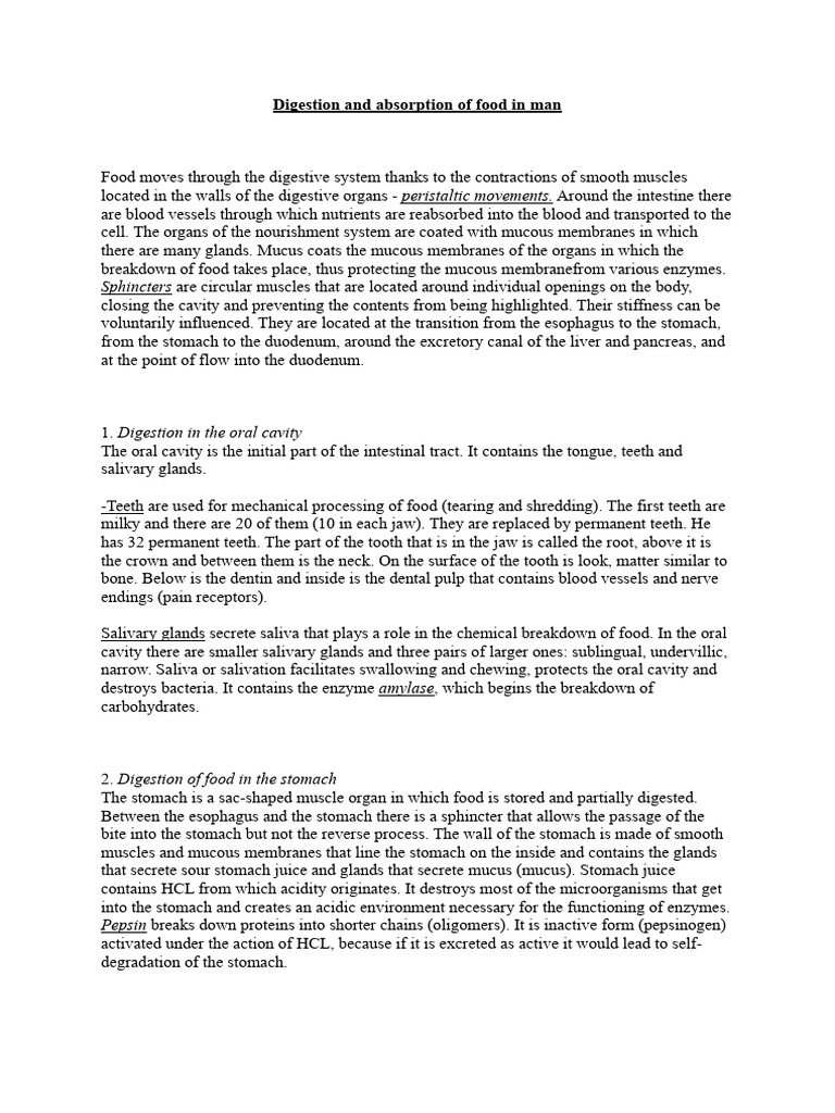 Digestion and Absorption of Food in Man | PDF | Digestion | Small Intestine