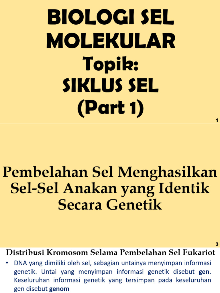 Biologi Sel Molekular 12 Siklus Sel | PDF