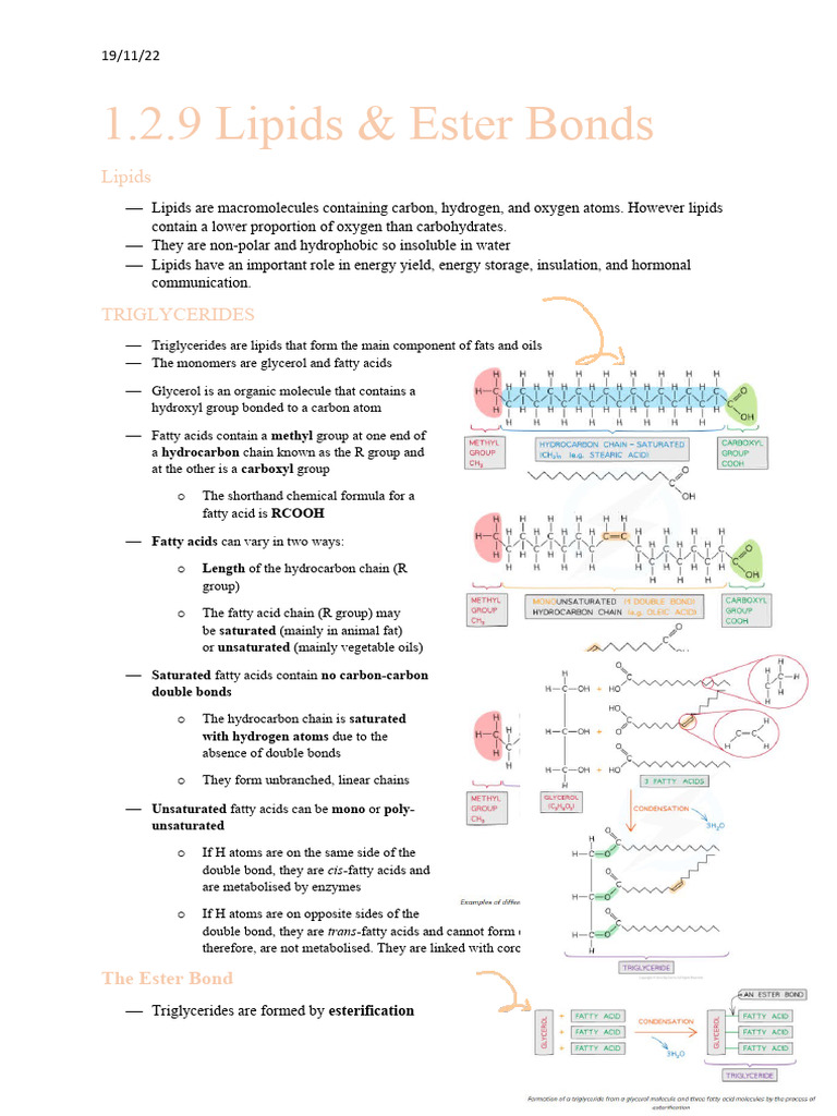 Structure of lipids | PDF | Fatty Acid | Lipid