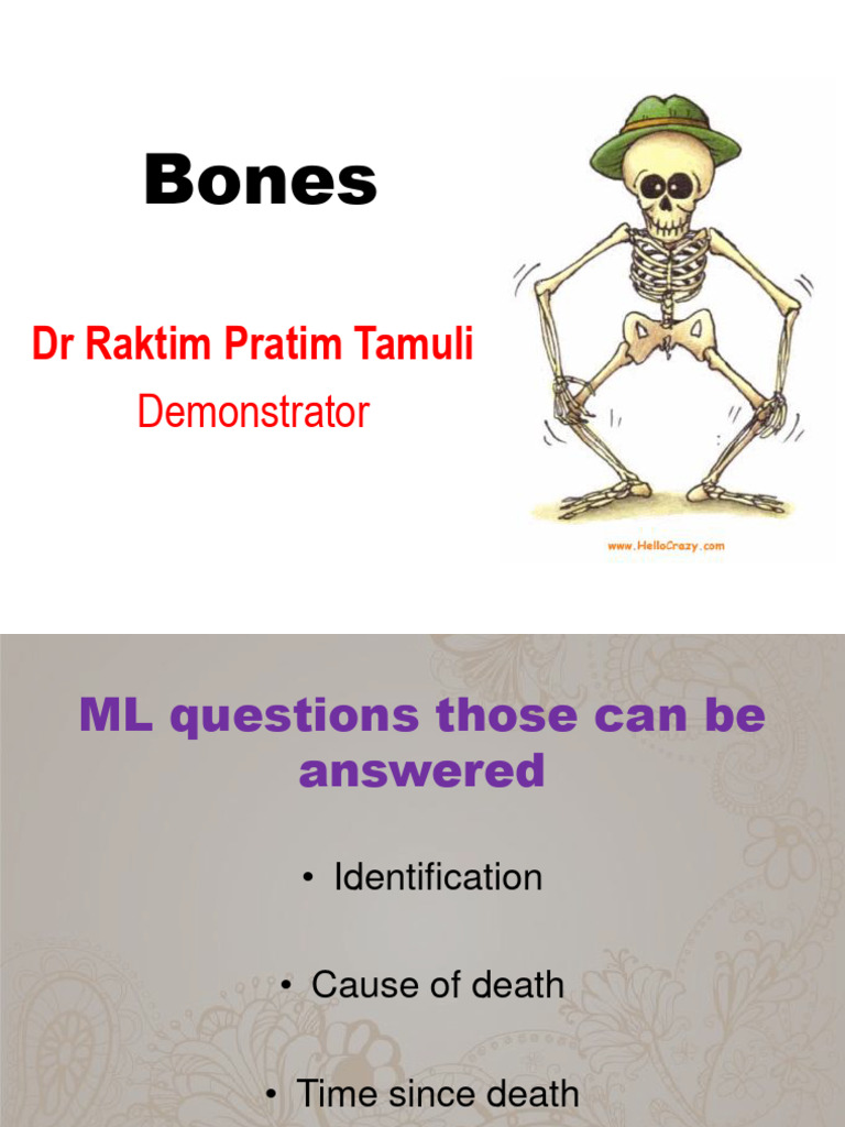 Bones | PDF