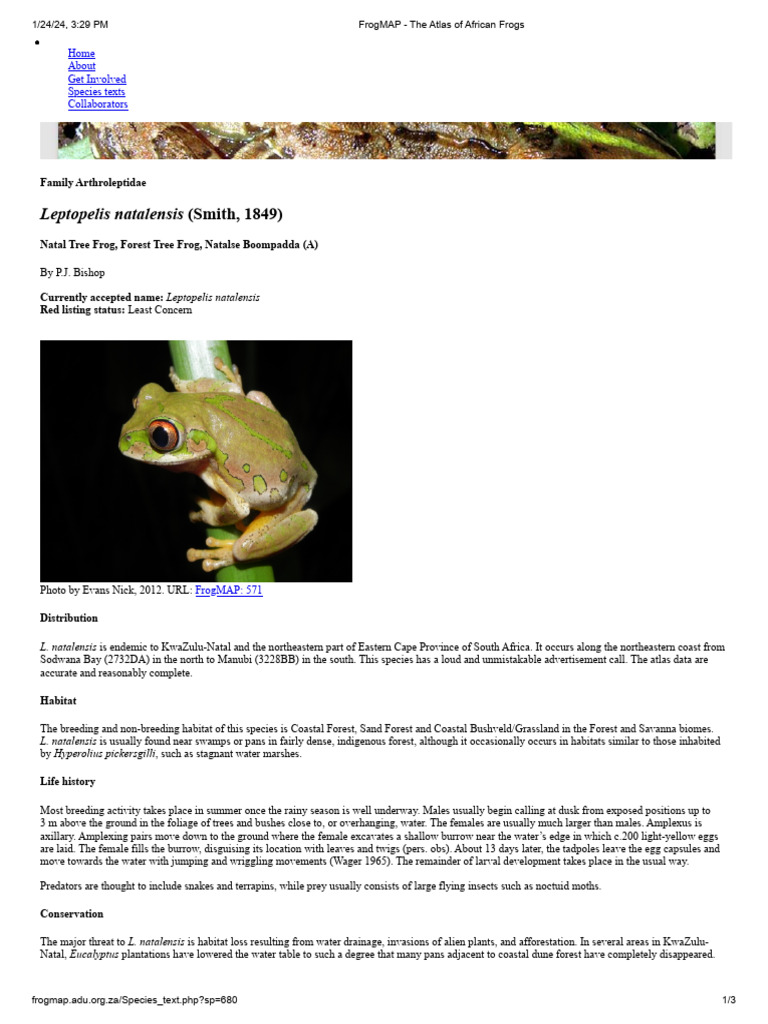FrogMAP - The Atlas of African Frogs | Download Free PDF | Frog | Organisms