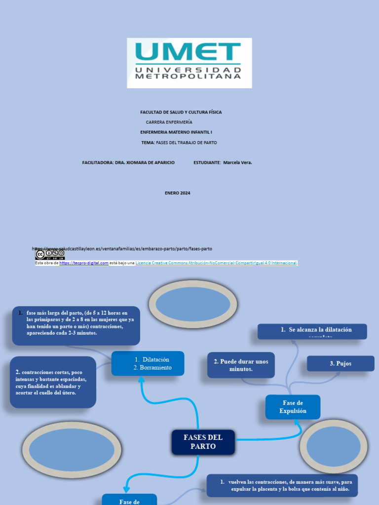Mapa Mental de Proceso de Parto | PDF | Parto | Infancia