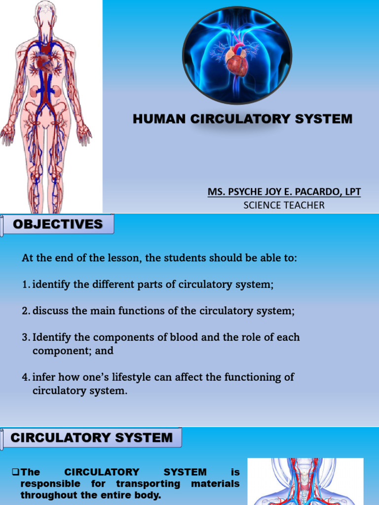 g9 Circulatory System Lesson | PDF | Blood Vessel | Artery